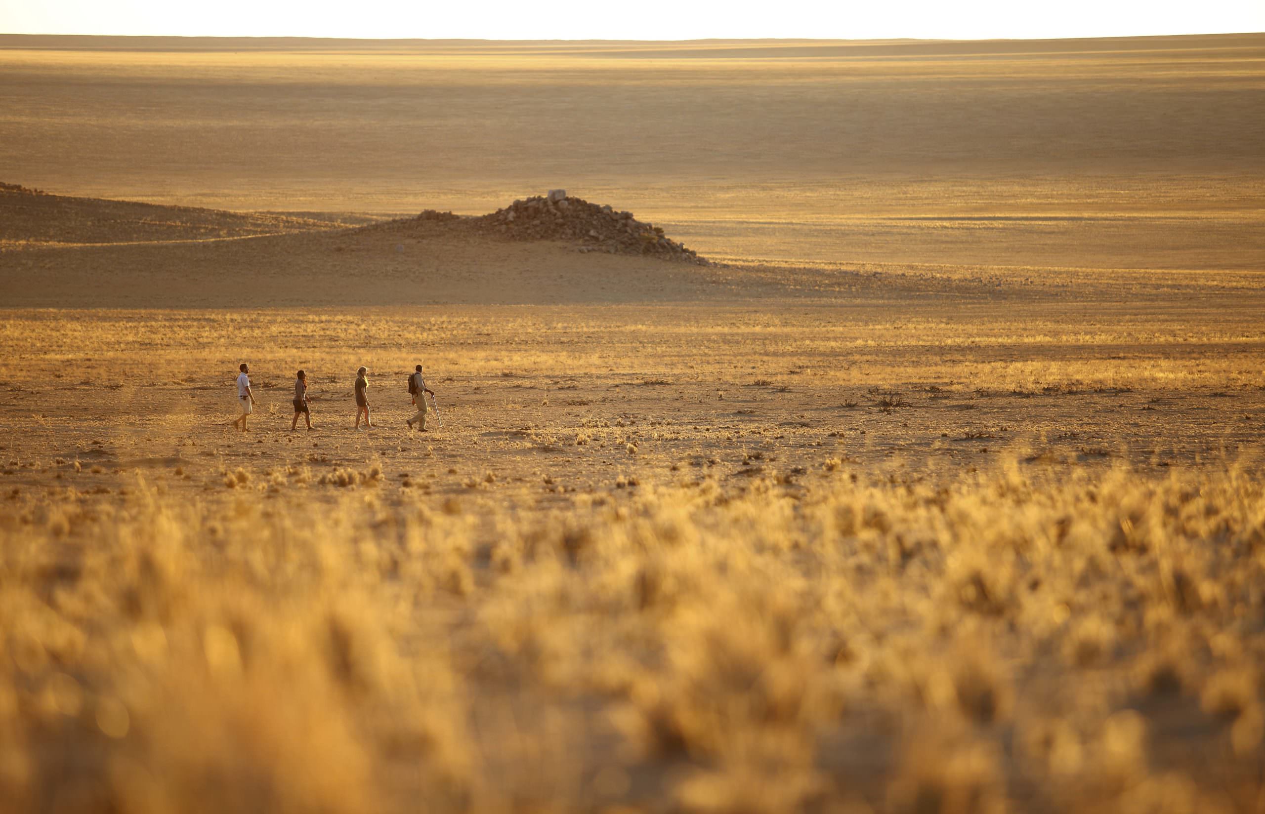 The World’s Oldest Desert - The Legacy Untold