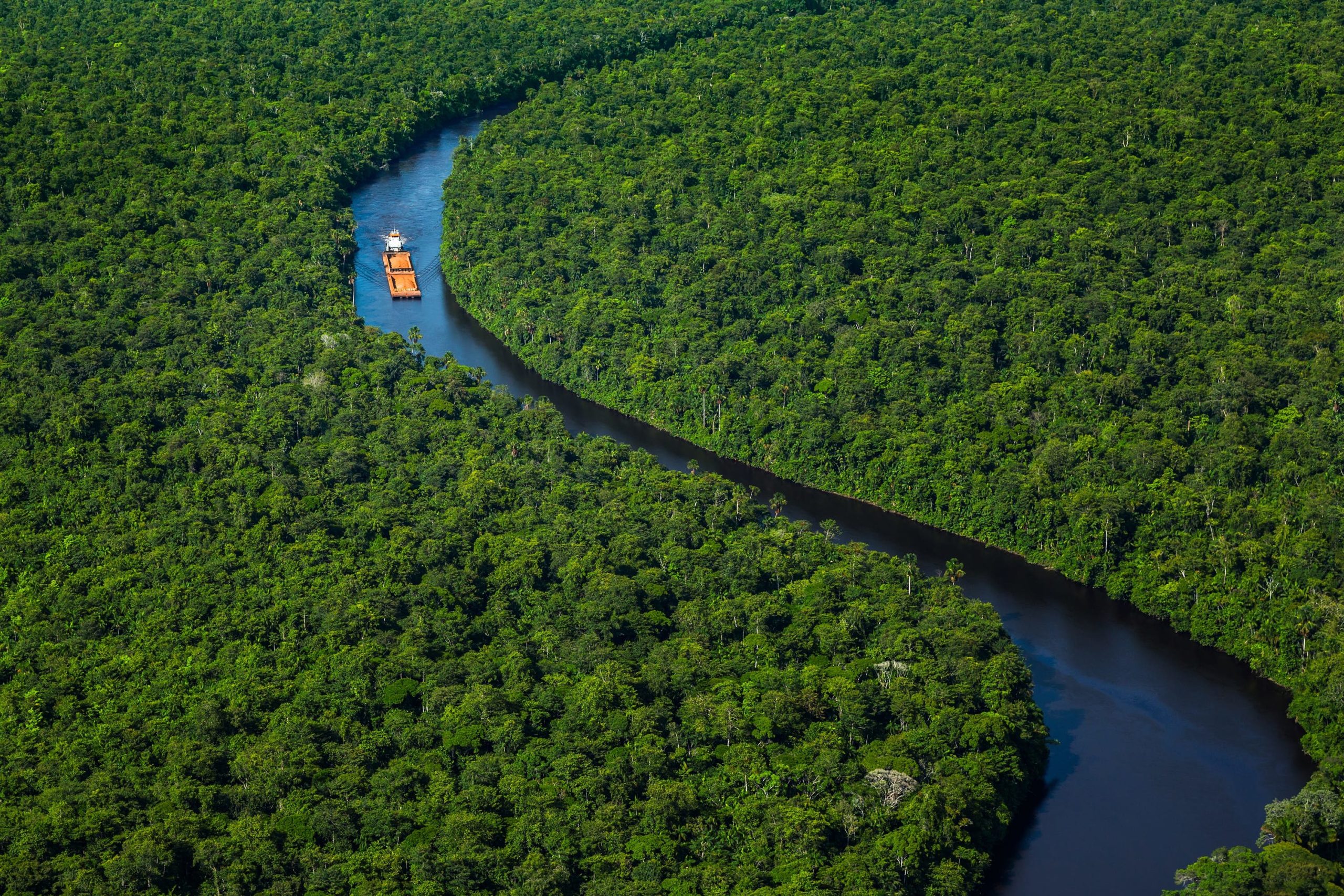 Three Carbon-Negative Countries - The Legacy Untold