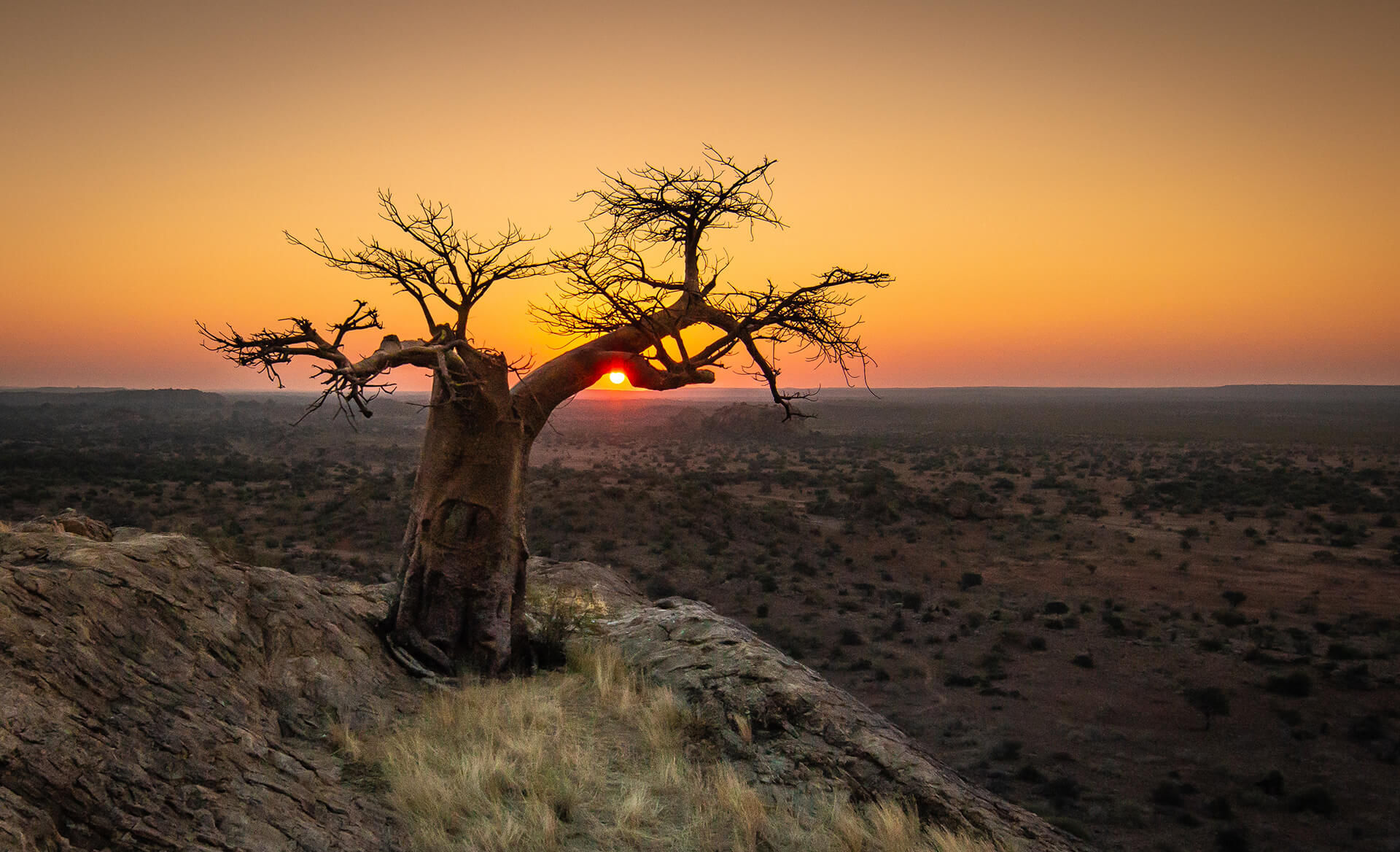 Botswana - The Legacy Untold